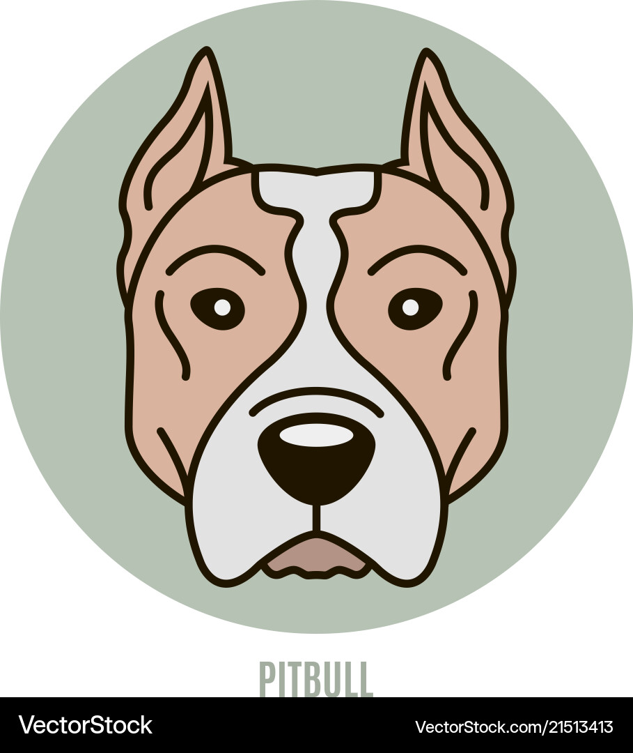 Portrait of pitbull Royalty Free Vector Image - VectorStock