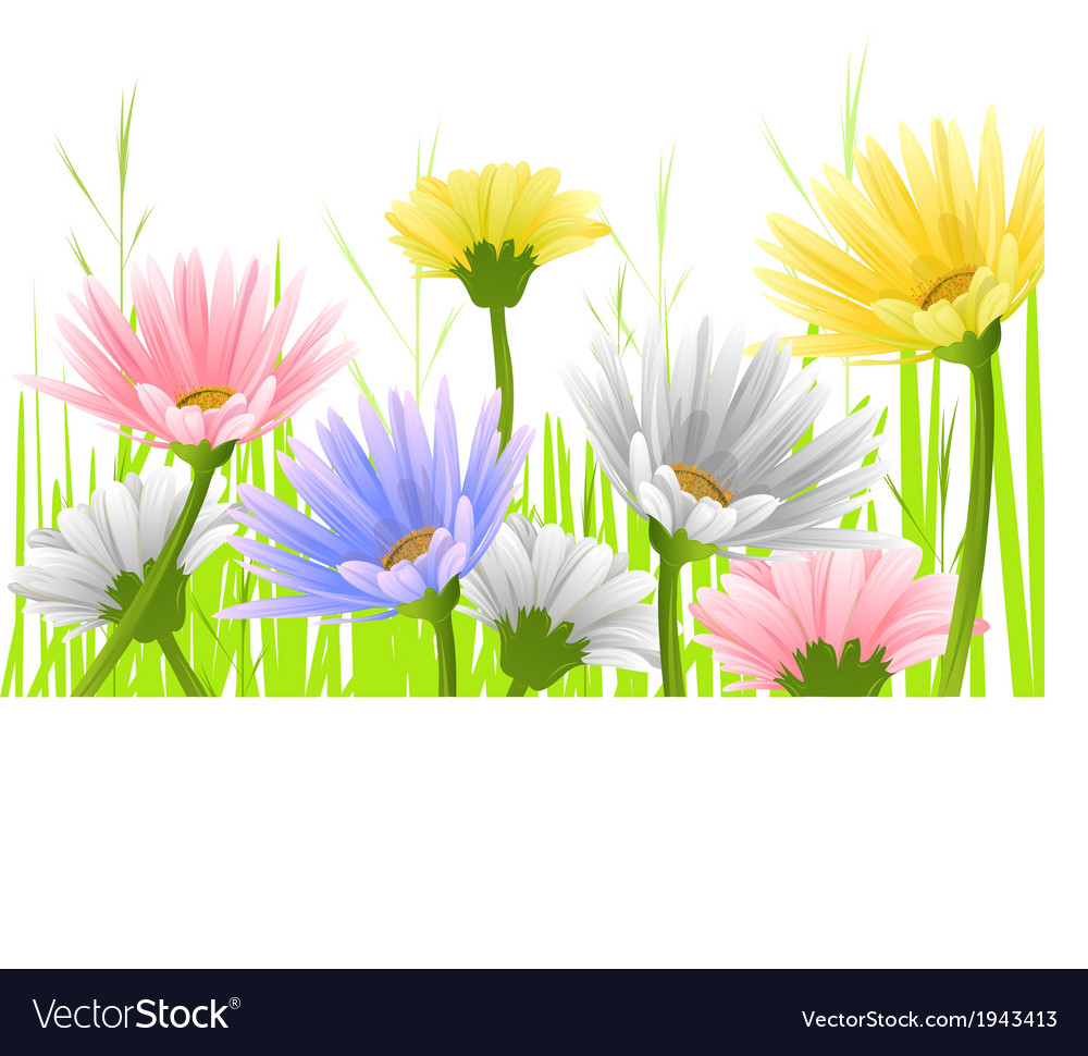 Spring background Royalty Free Vector Image - VectorStock