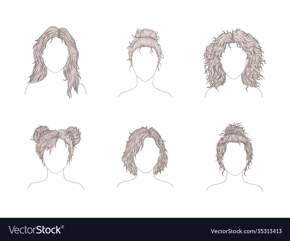 Women Hairstyles Royalty Free Vector Image Vectorstock