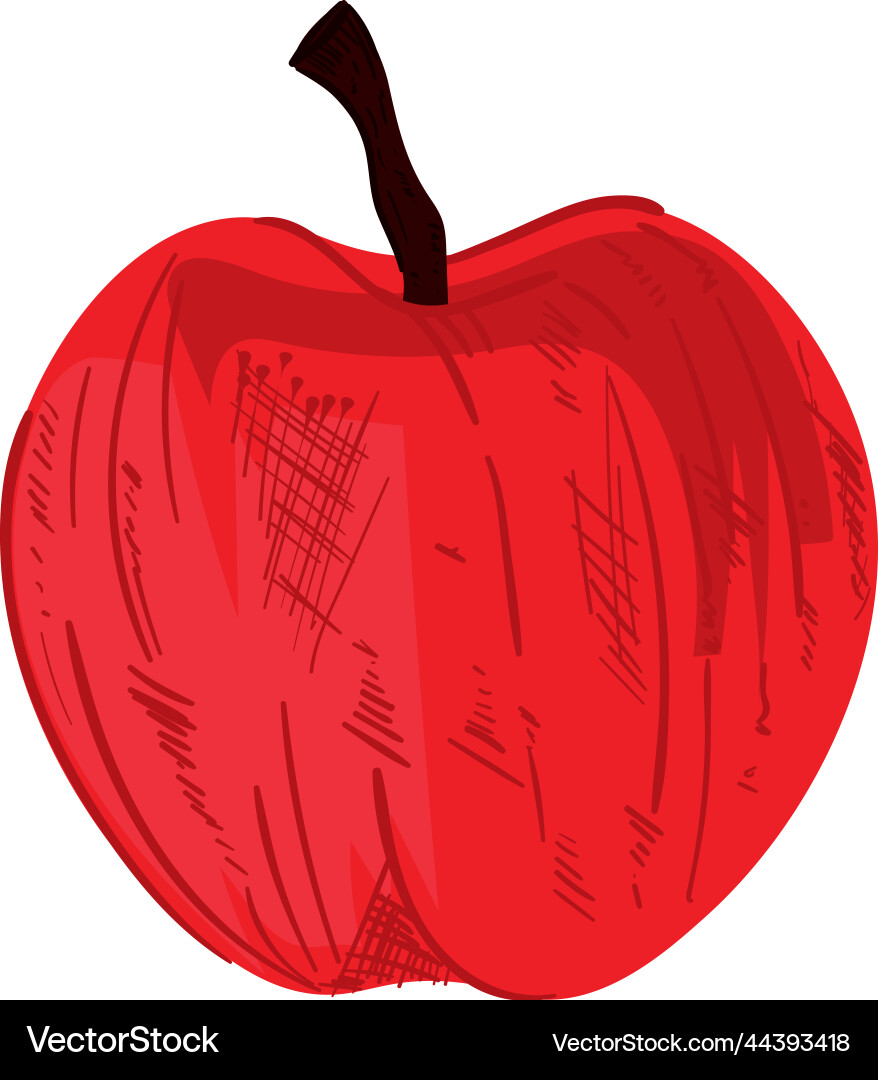 Apple red fruit Royalty Free Vector Image - VectorStock