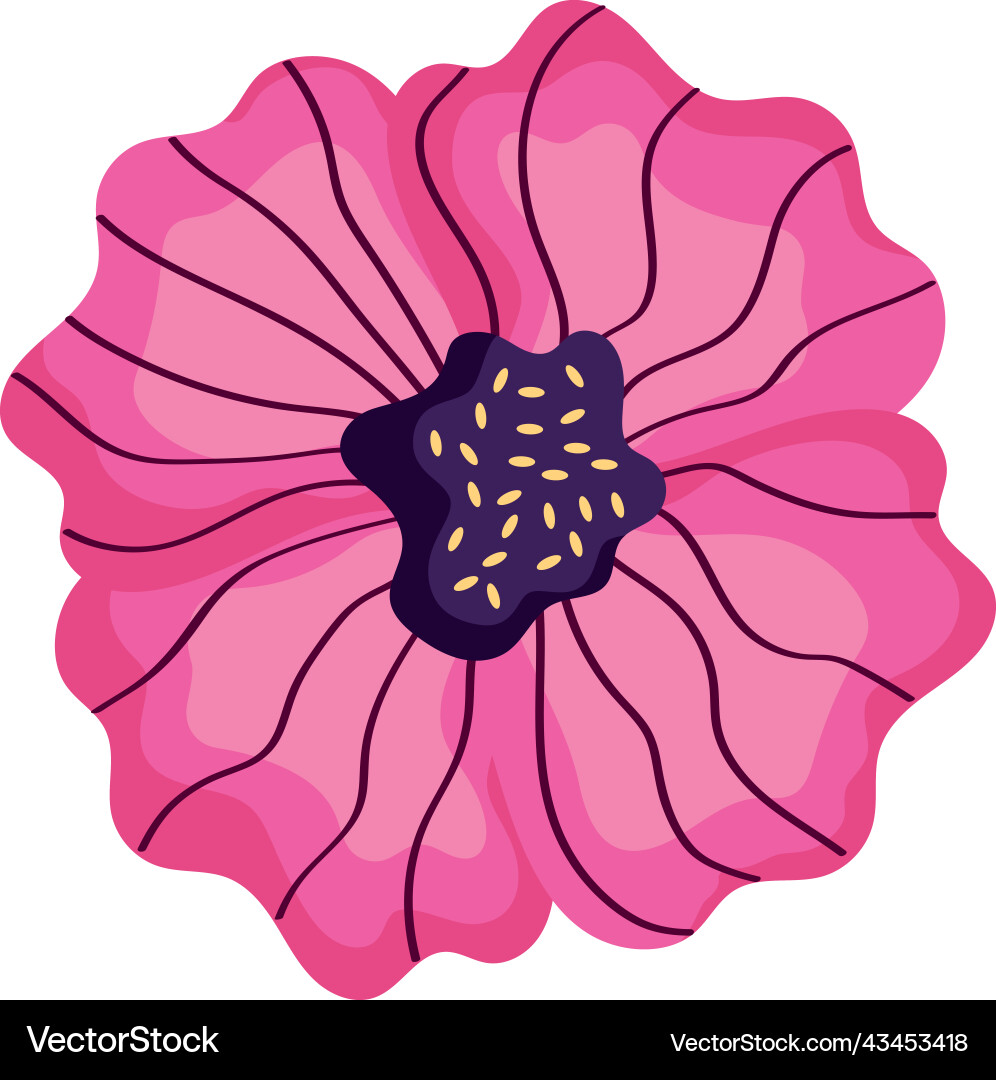 Pink flower garden decoration Royalty Free Vector Image