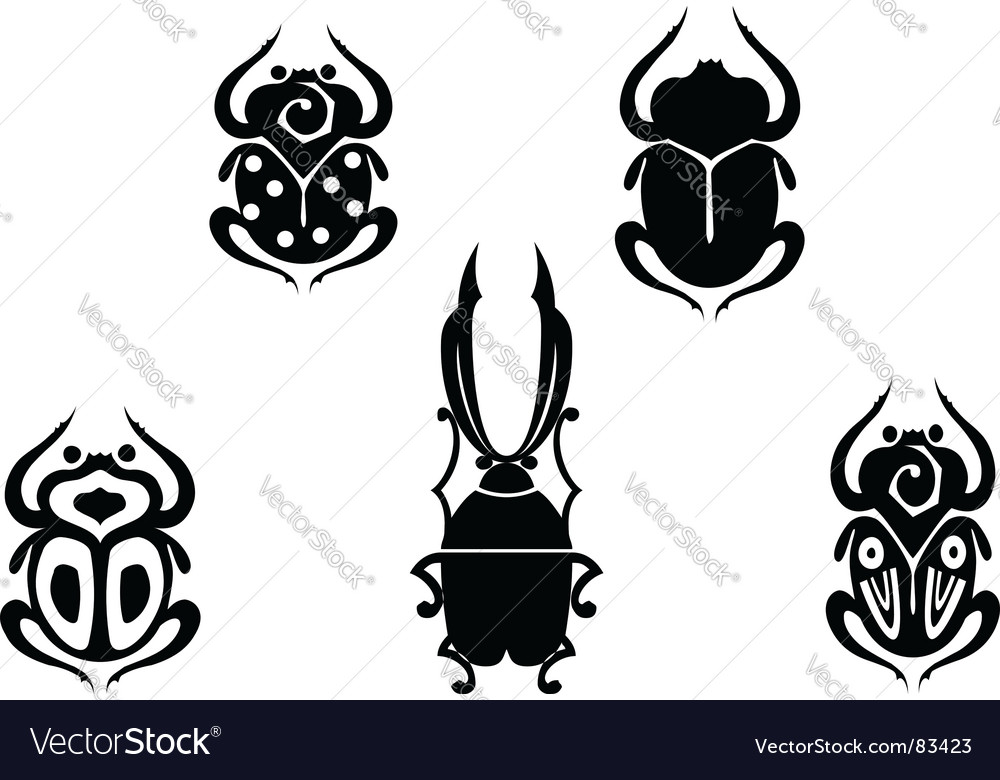 Beetles Royalty Free Vector Image - VectorStock