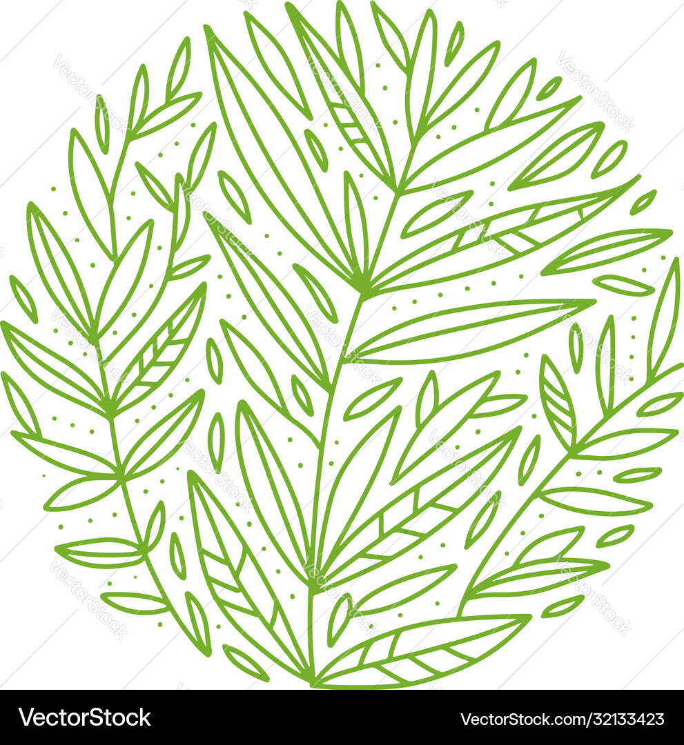 Green foliage botanical round sketch Royalty Free Vector