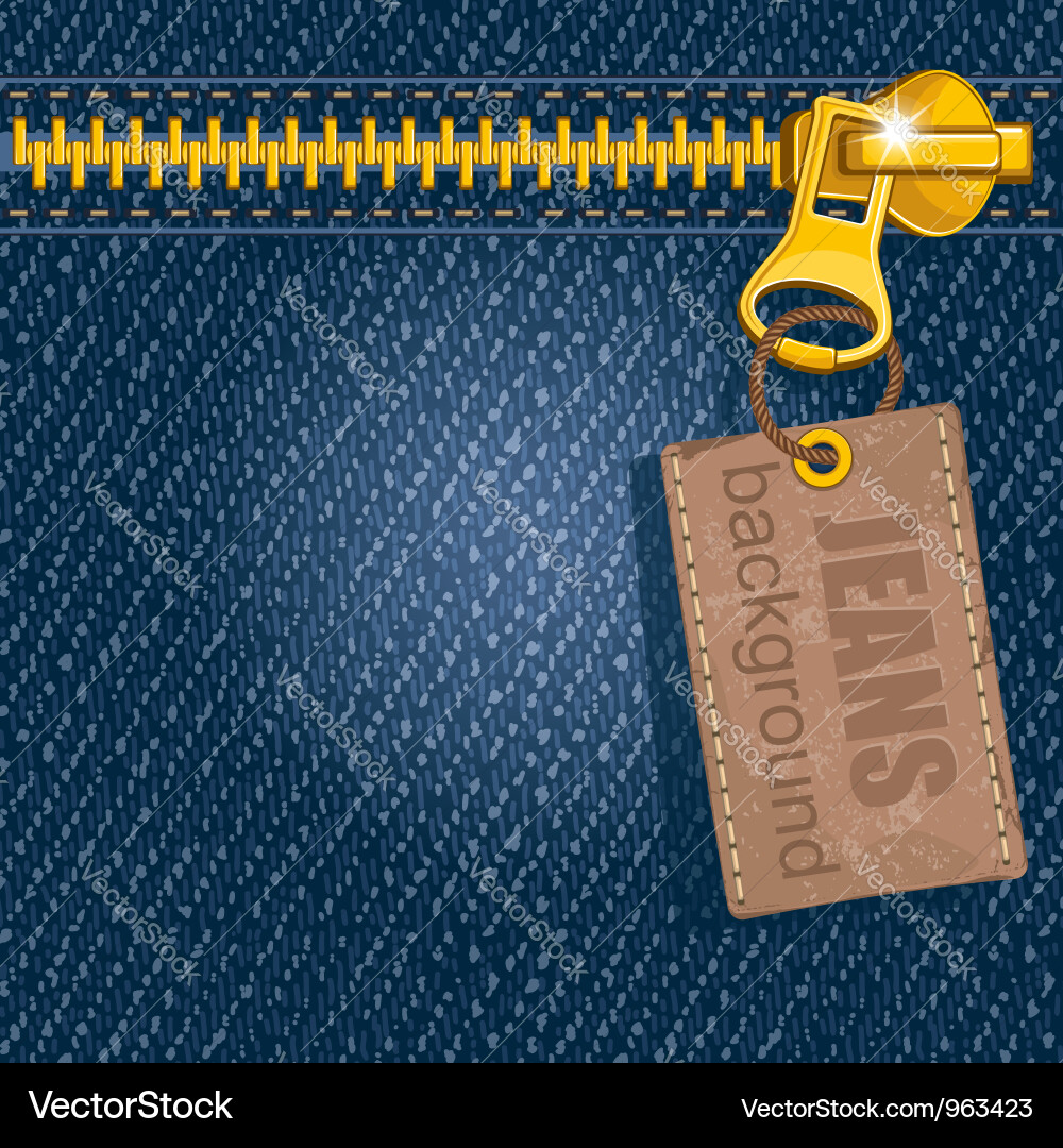Metal zipper on denim background Royalty Free Vector Image