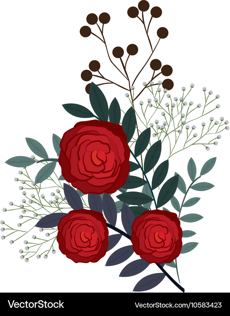 Red roses with green leaves Royalty Free Vector Image