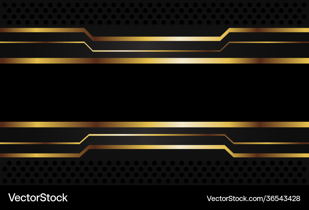 Abstract gold cyber line black circle mesh Vector Image