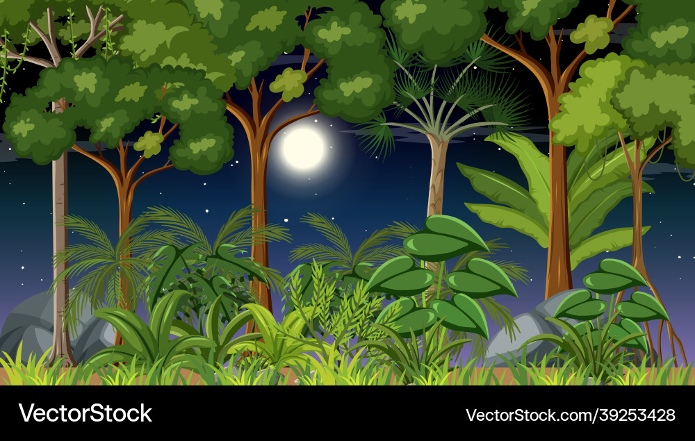 Forest landscape scene at night with many trees Vector Image