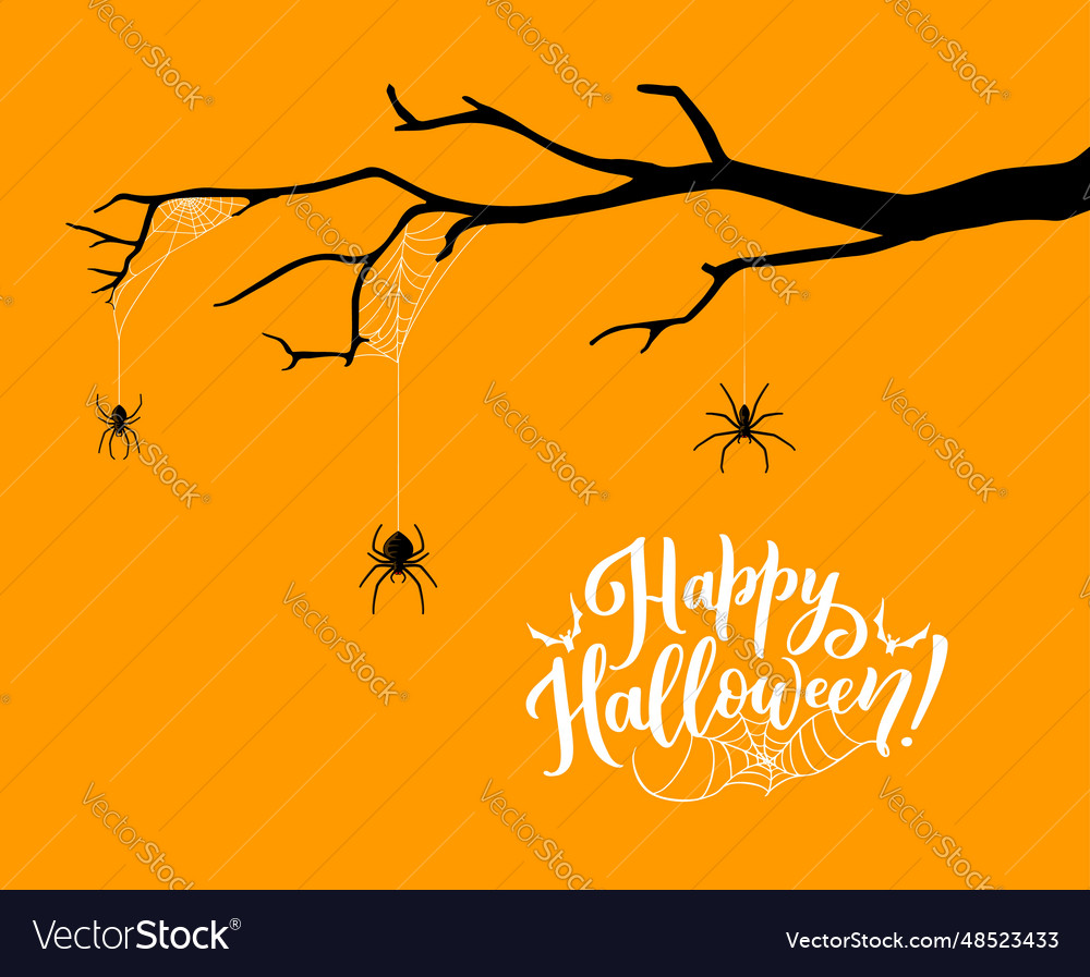 Halloween holiday spiders in cobweb on tree branch