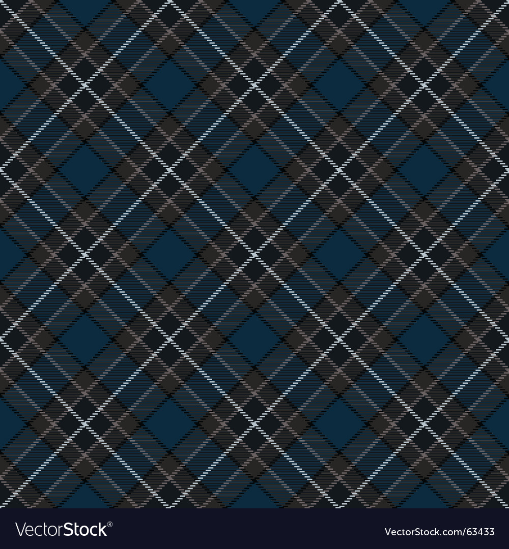 Plaid Royalty Free Vector Image - VectorStock