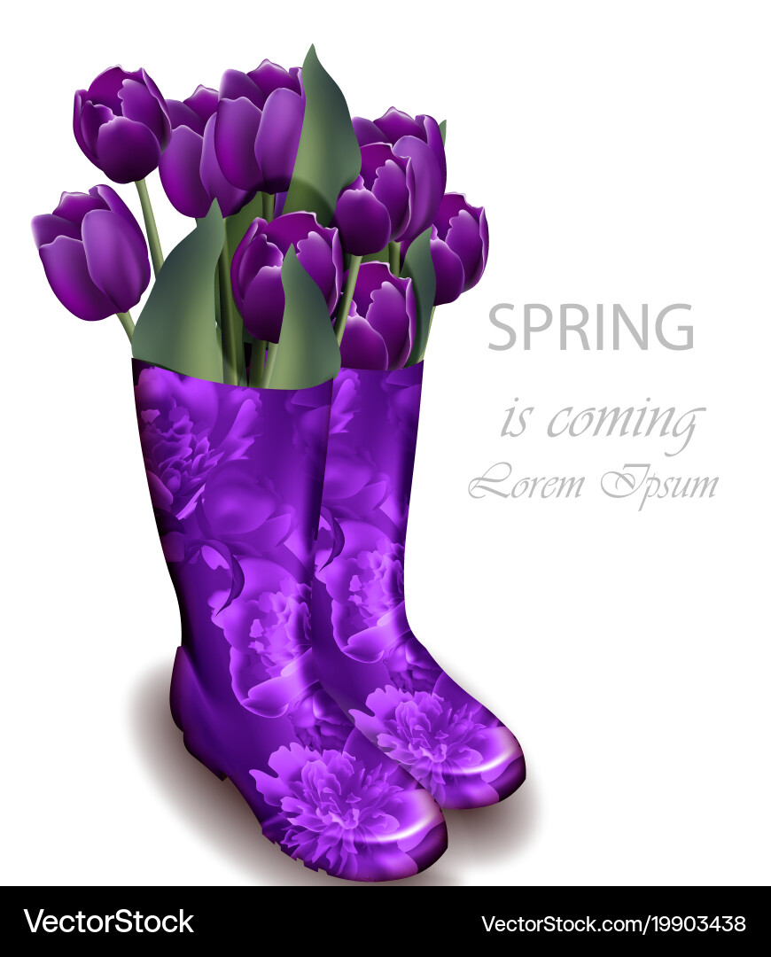 Spring background with tulip flowers violet color Vector Image