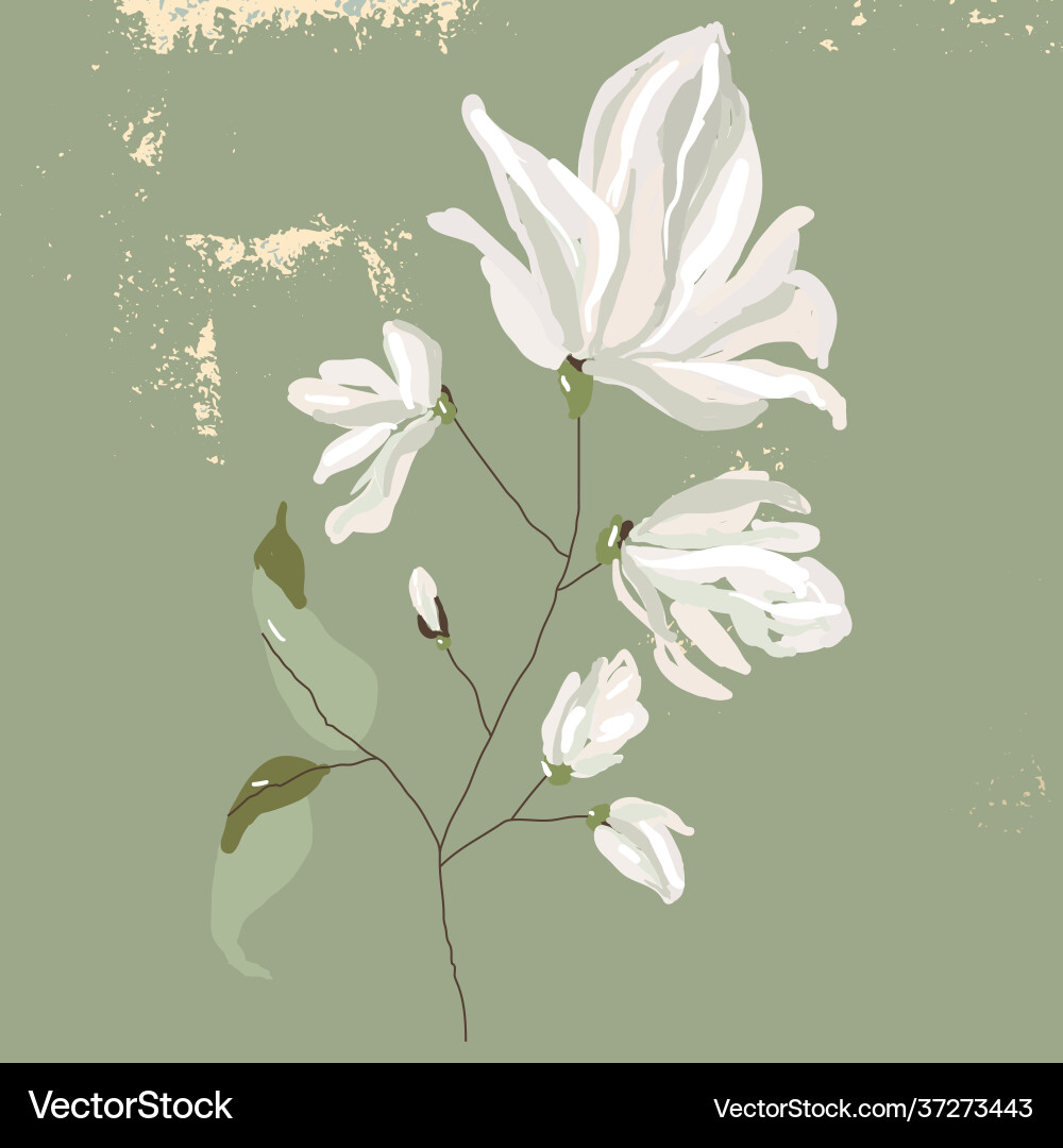 Magnolia flower tree branch hand drawn Royalty Free Vector