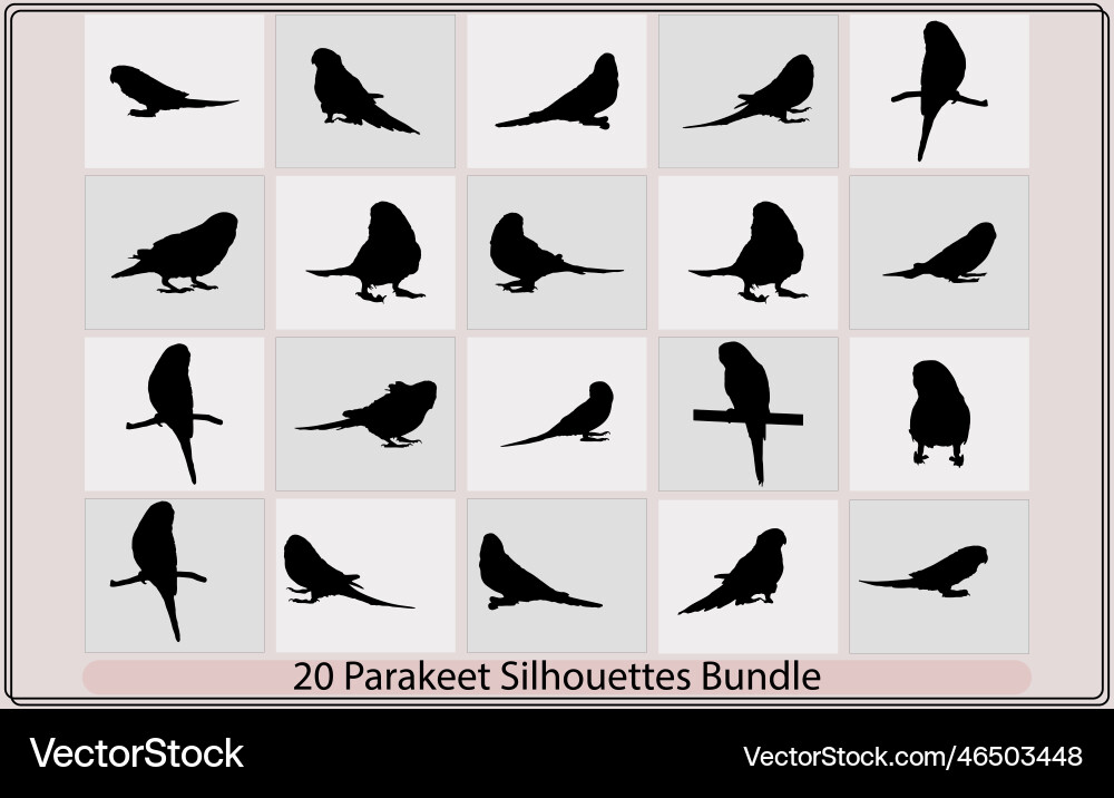 An parakeet silhouettecaturrita bird Royalty Free Vector