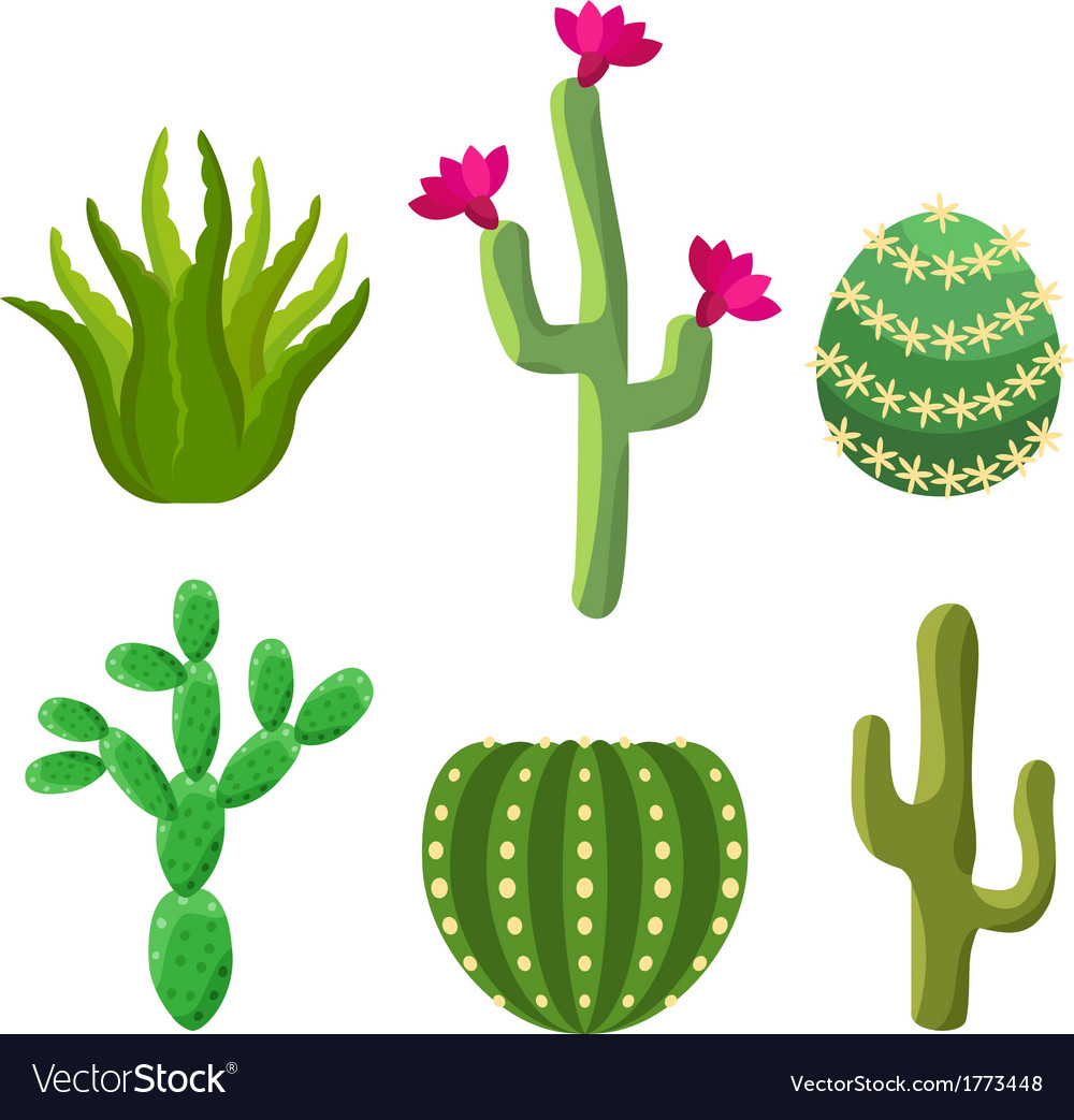 Cactus set Royalty Free Vector Image - VectorStock