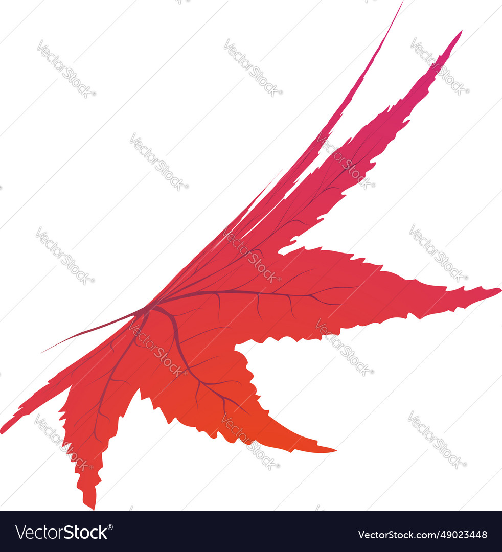Maple autumn leaf Royalty Free Vector Image - VectorStock