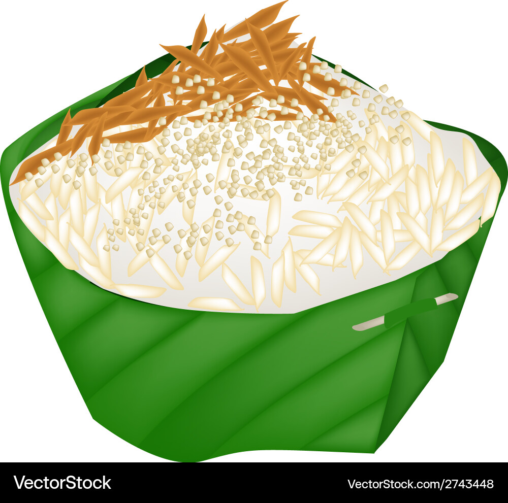 Sticky Rice with Dried Fish and Fried Onion Vector Image