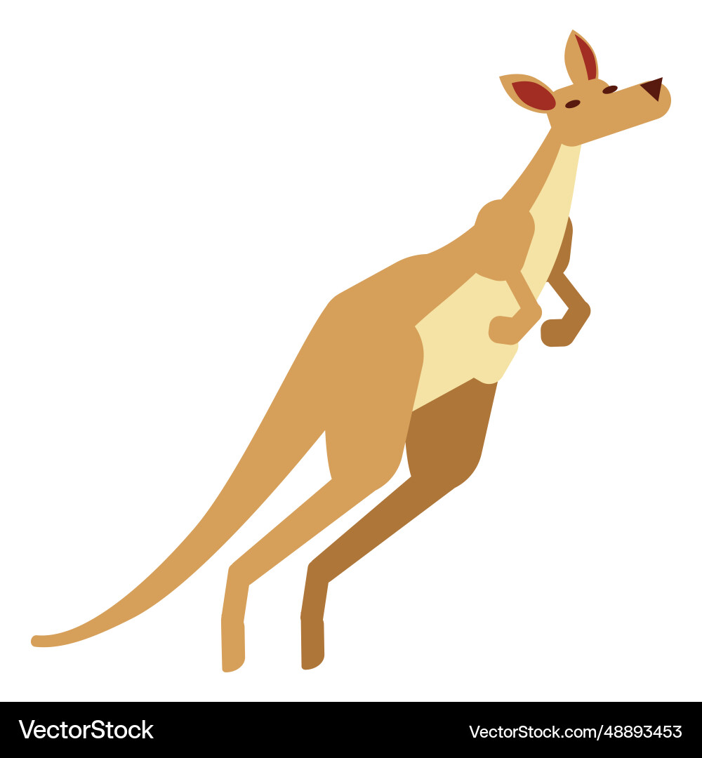 Kangaroo ear tail muzzle pouch rounded flat Vector Image