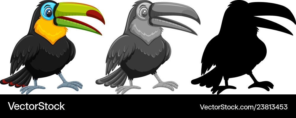 Set of toucan character Royalty Free Vector Image