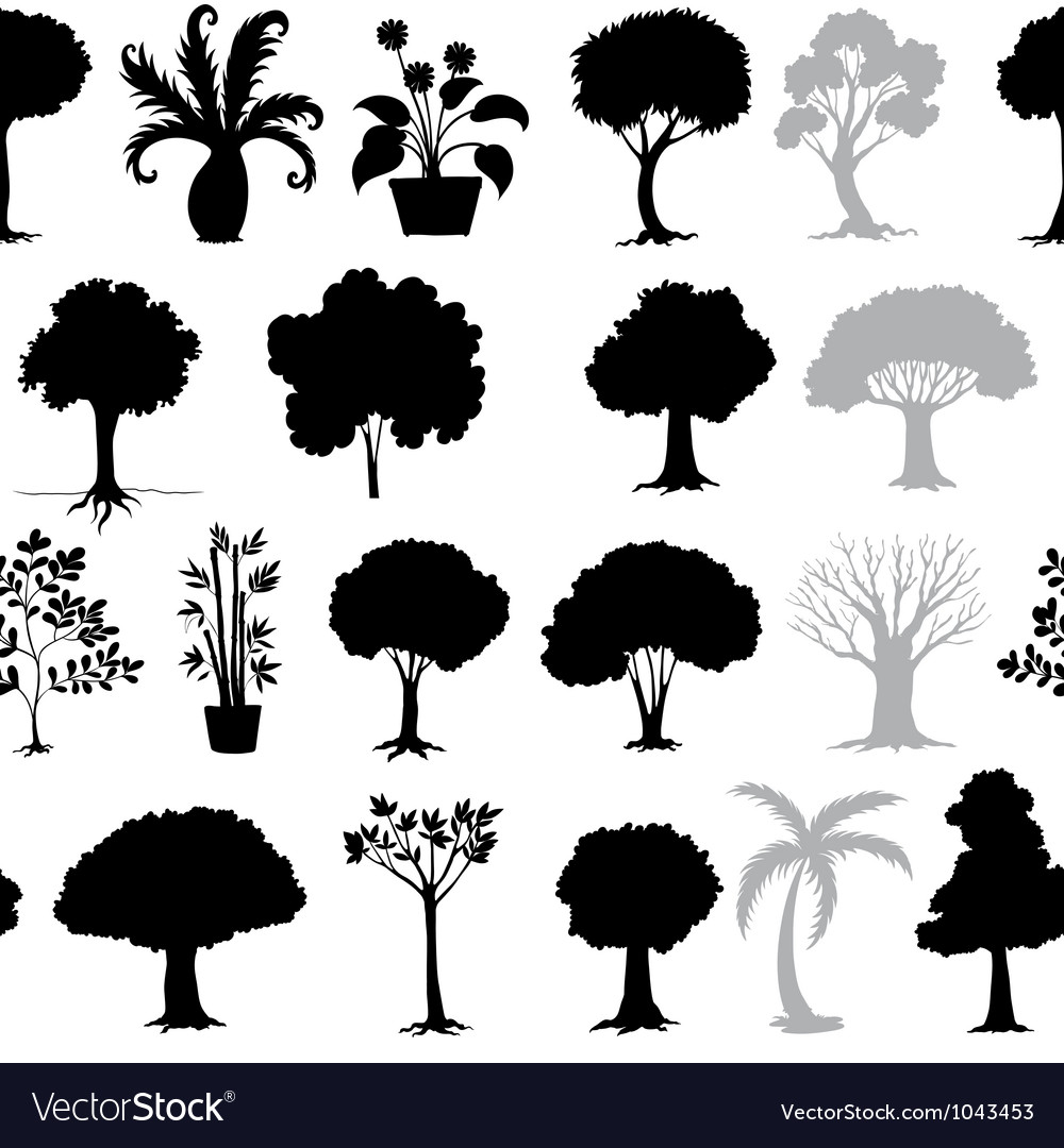 Various trees Royalty Free Vector Image - VectorStock