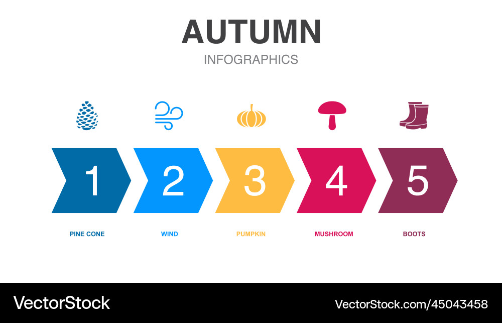 Autumn icons infographic design template creative Vector Image