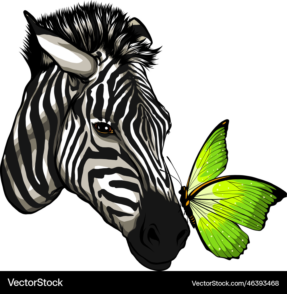 Colorful butterfly on head zebra design Royalty Free Vector