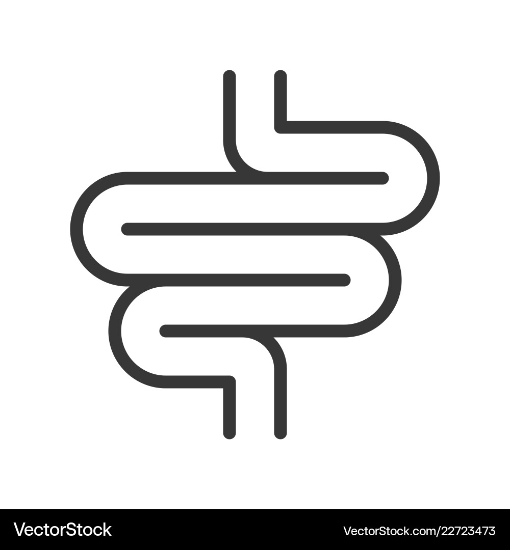 Small intestine organ icon set Royalty Free Vector Image