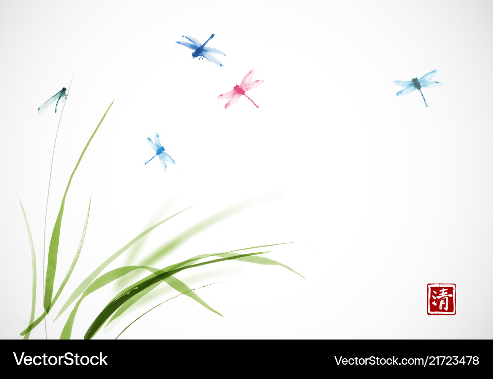 Dragonflies flying over the green grass Royalty Free Vector