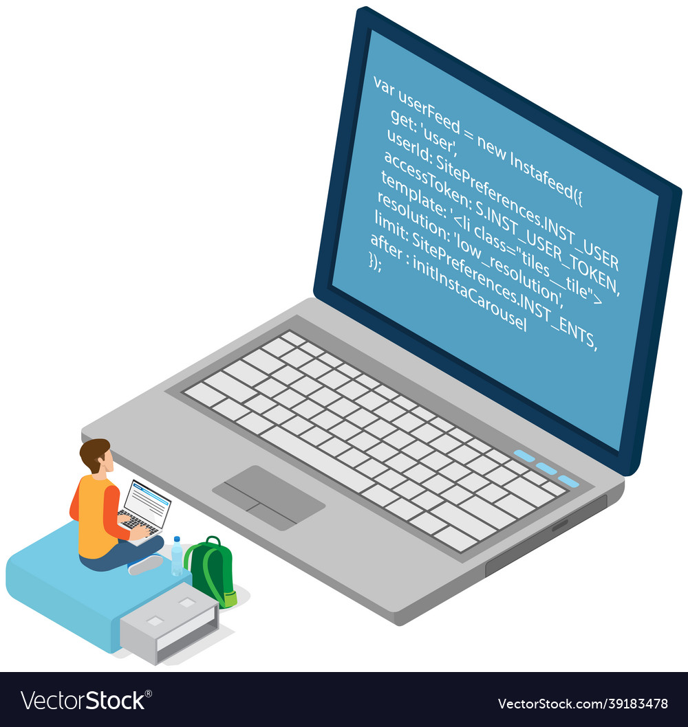 Man looking at laptop screen with program code Vector Image