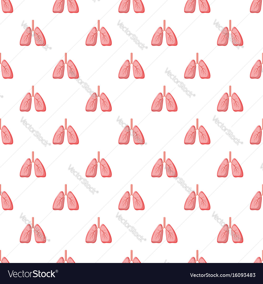 Human lungs pattern Royalty Free Vector Image - VectorStock