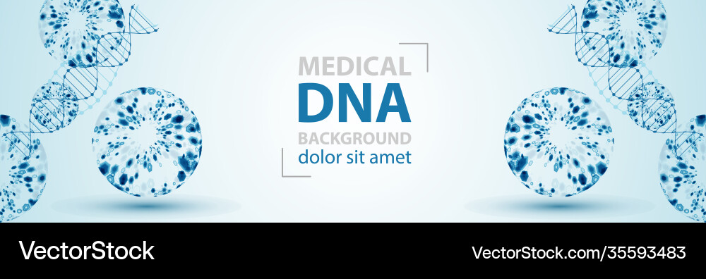 Science template wallpaper or banner with a dna Vector Image