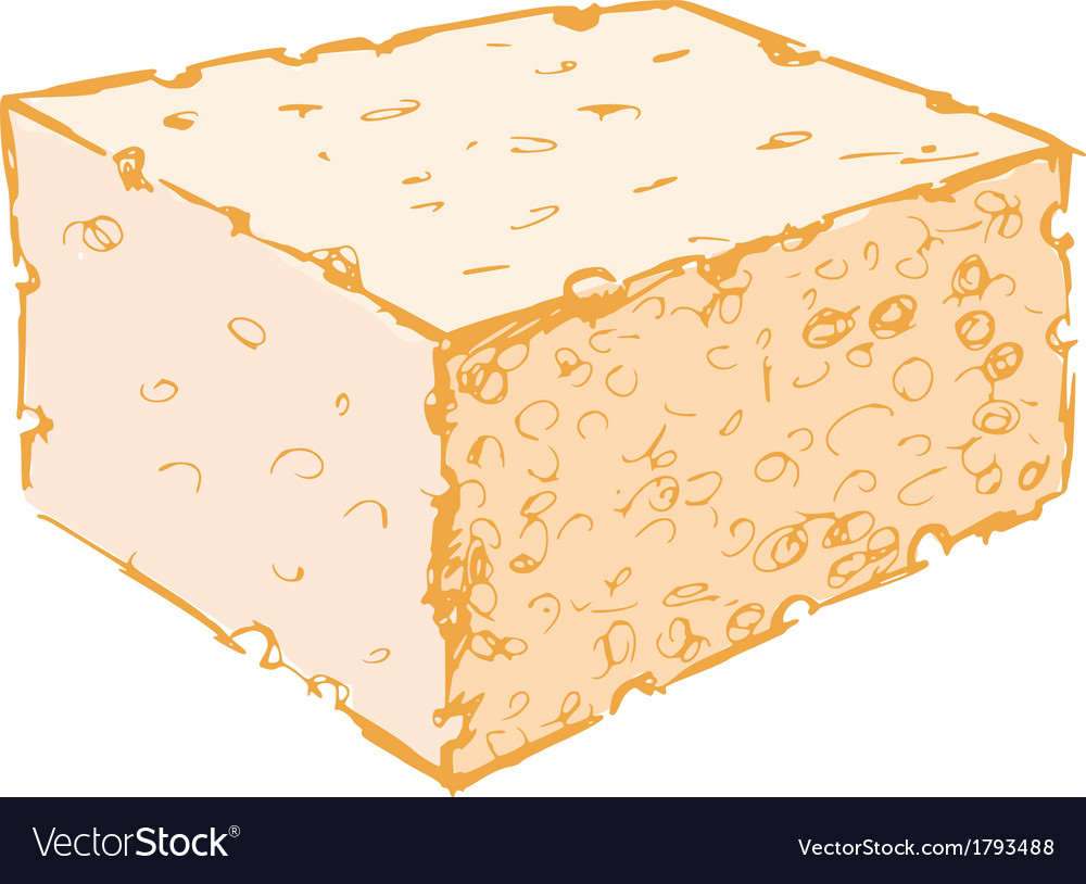 Sponge Royalty Free Vector Image - VectorStock