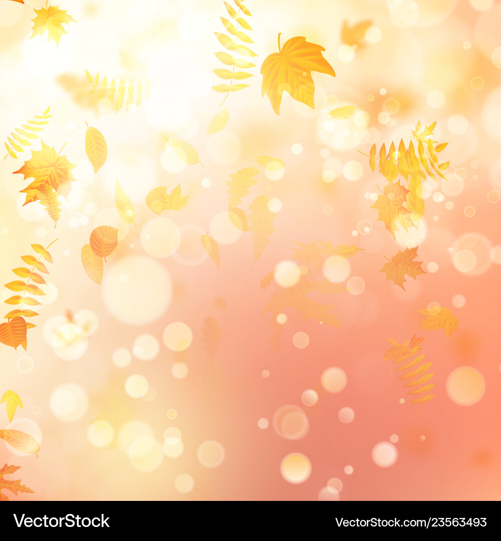 Autumn background with leaves back to school Vector Image