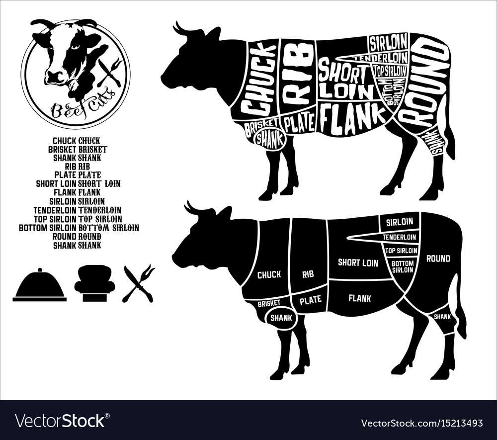 Beef cuts Royalty Free Vector Image - VectorStock