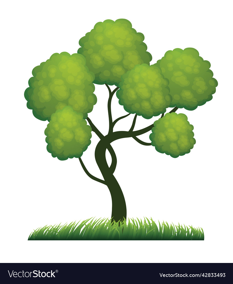 Green spring tree Royalty Free Vector Image - VectorStock
