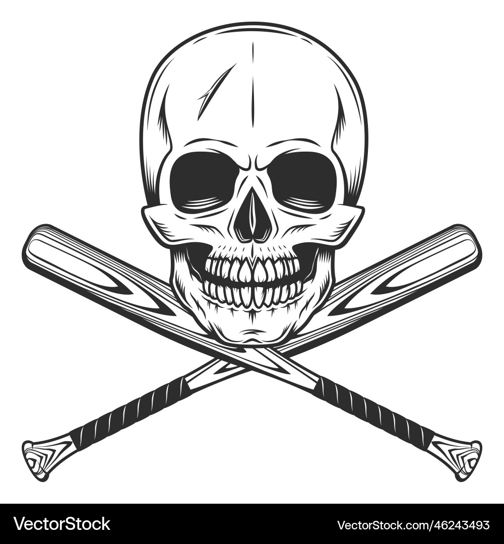 Skull with baseball bat club emblem design Vector Image