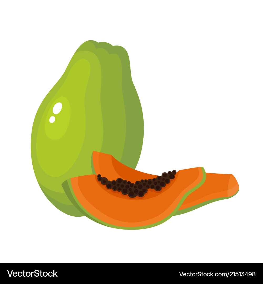 Bright of fresh papaya Royalty Free Vector Image