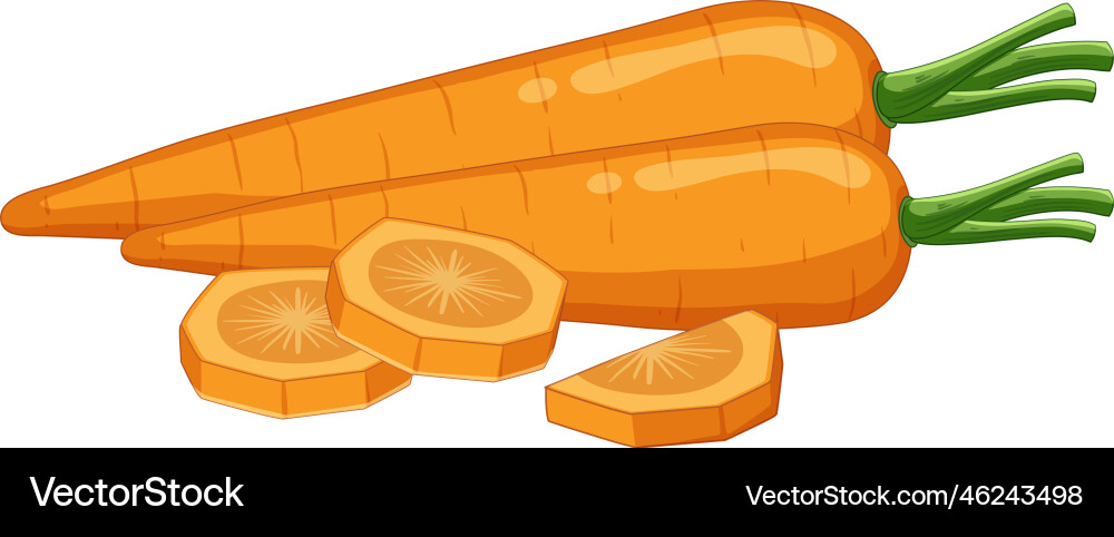 Carrot cartoon style isolated Royalty Free Vector Image