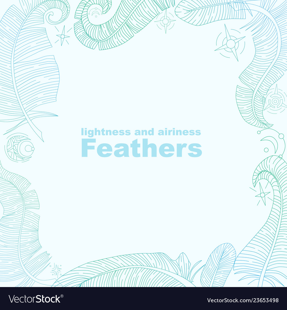 Feathers frame Royalty Free Vector Image - VectorStock