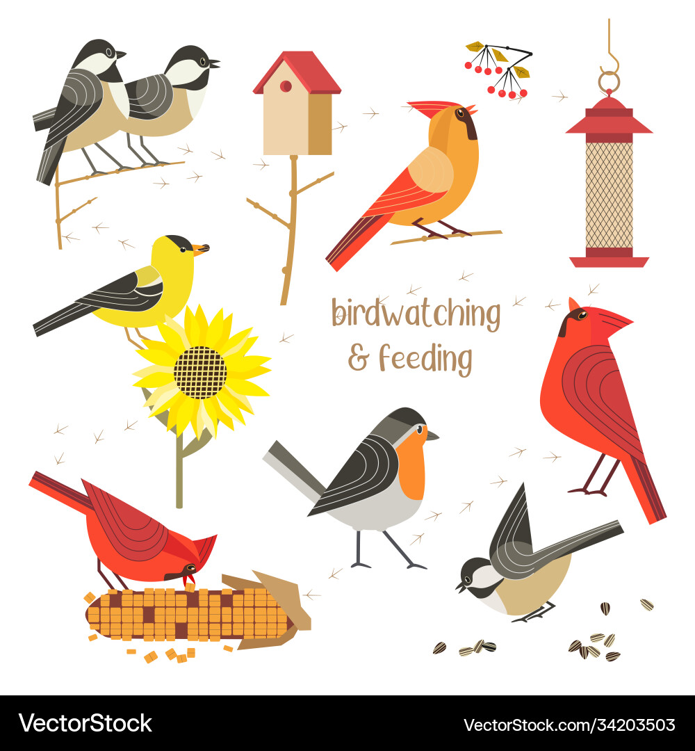 Bird watching feeding icons collection Royalty Free Vector