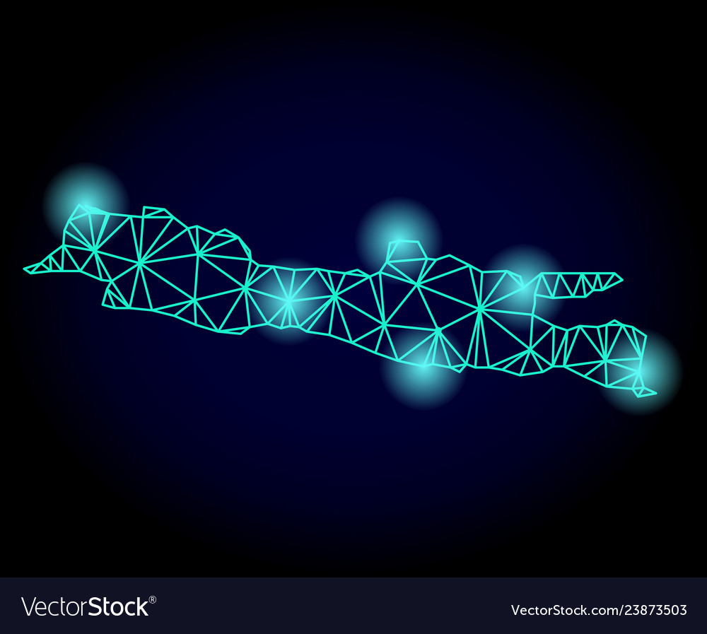 Polygonal wire frame mesh map java island Vector Image