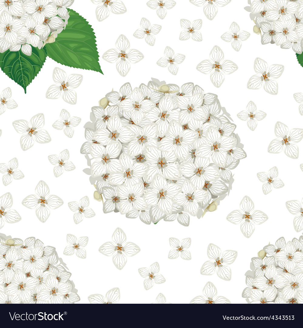 Hydrangea seamless Royalty Free Vector Image - VectorStock