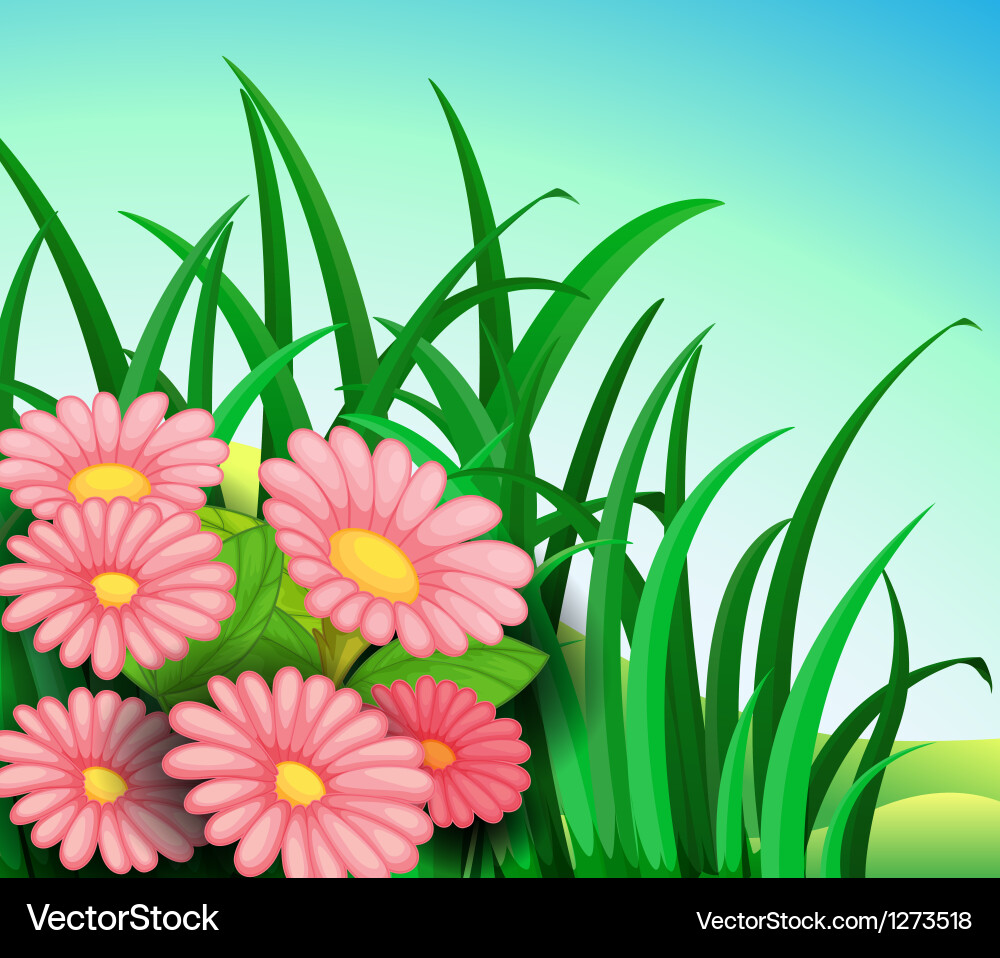 A plant with pink flowers Royalty Free Vector Image