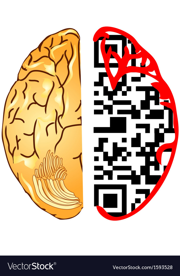 Brain and qr code Royalty Free Vector Image - VectorStock