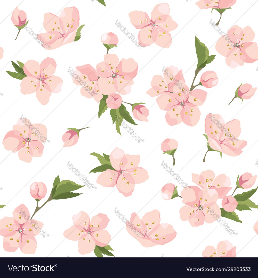 Cherry flowers- seamless pattern Royalty Free Vector Image
