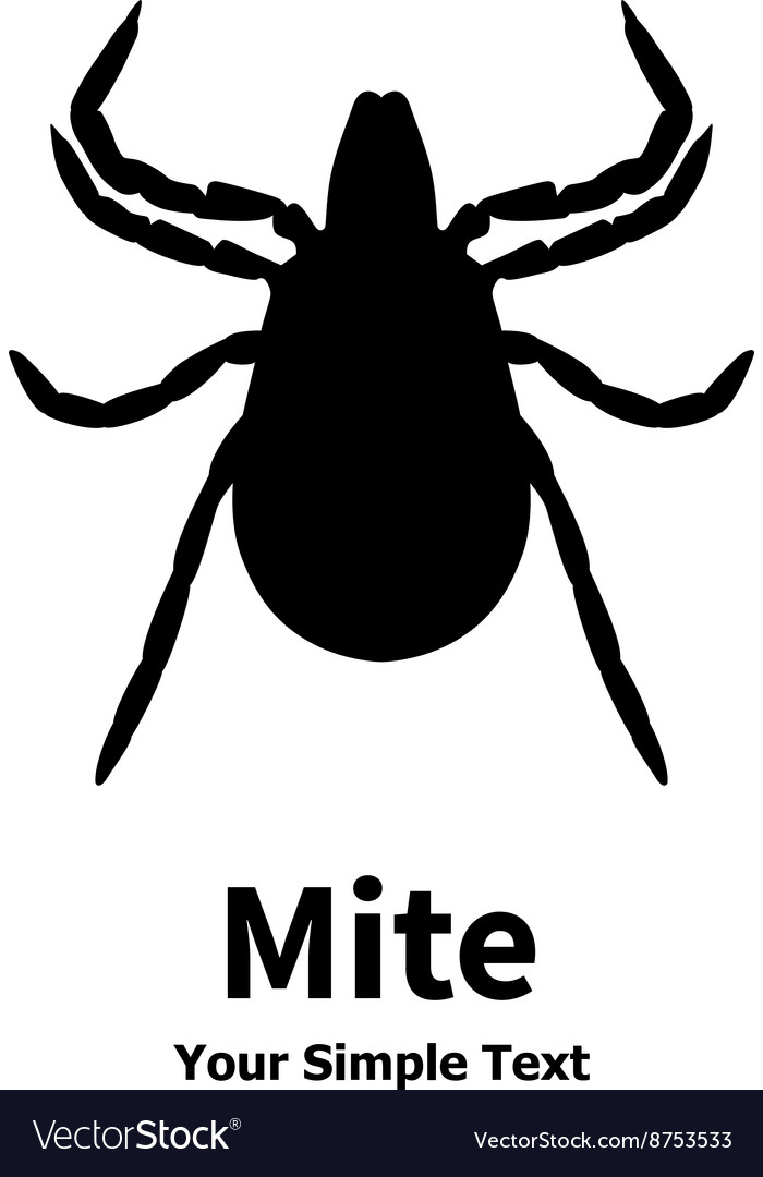 Mite Royalty Free Vector Image - VectorStock