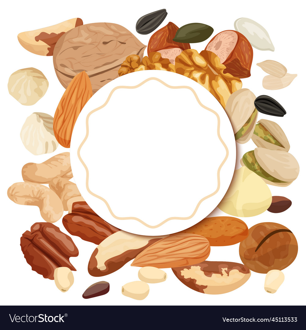 Nuts circle frame composition Royalty Free Vector Image