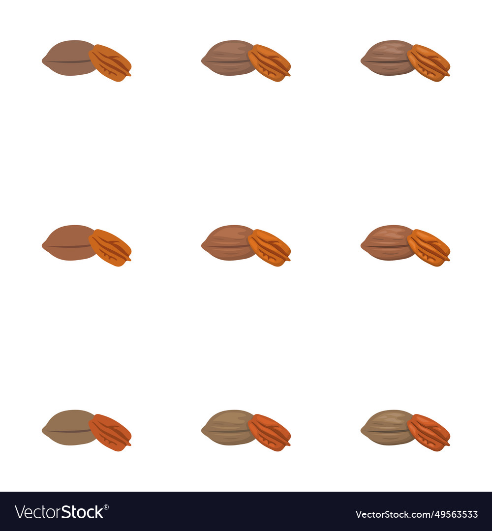Pecan Royalty Free Vector Image - VectorStock