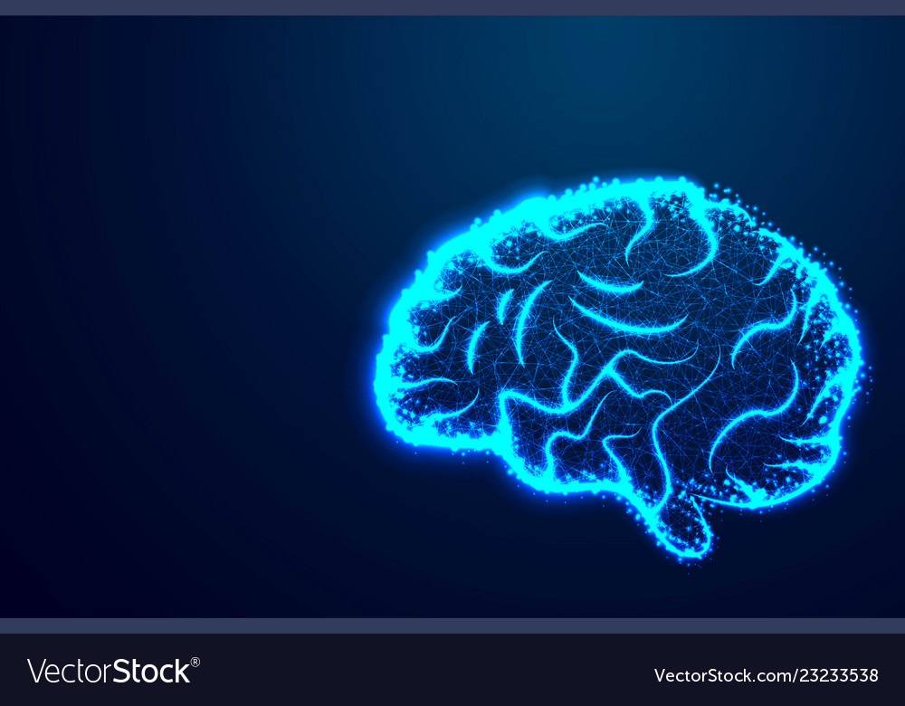Abstract image of a human brain low poly wire Vector Image