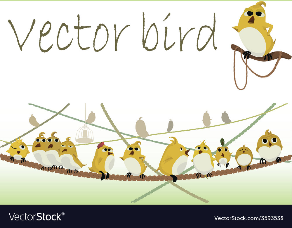 Birds Royalty Free Vector Image - VectorStock