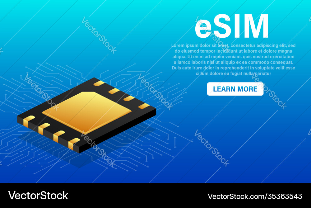 Digital e sim chip motherboard chip Royalty Free Vector