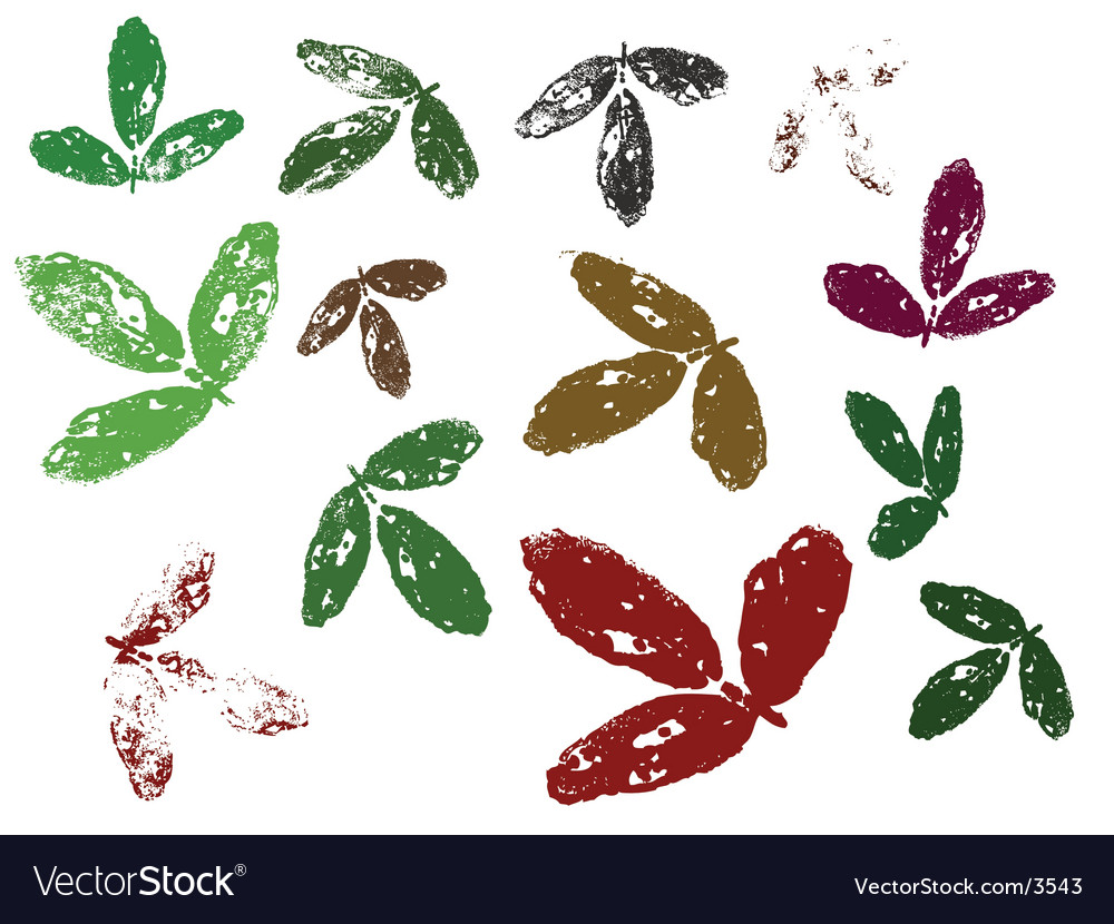 Leaf elements Royalty Free Vector Image - VectorStock